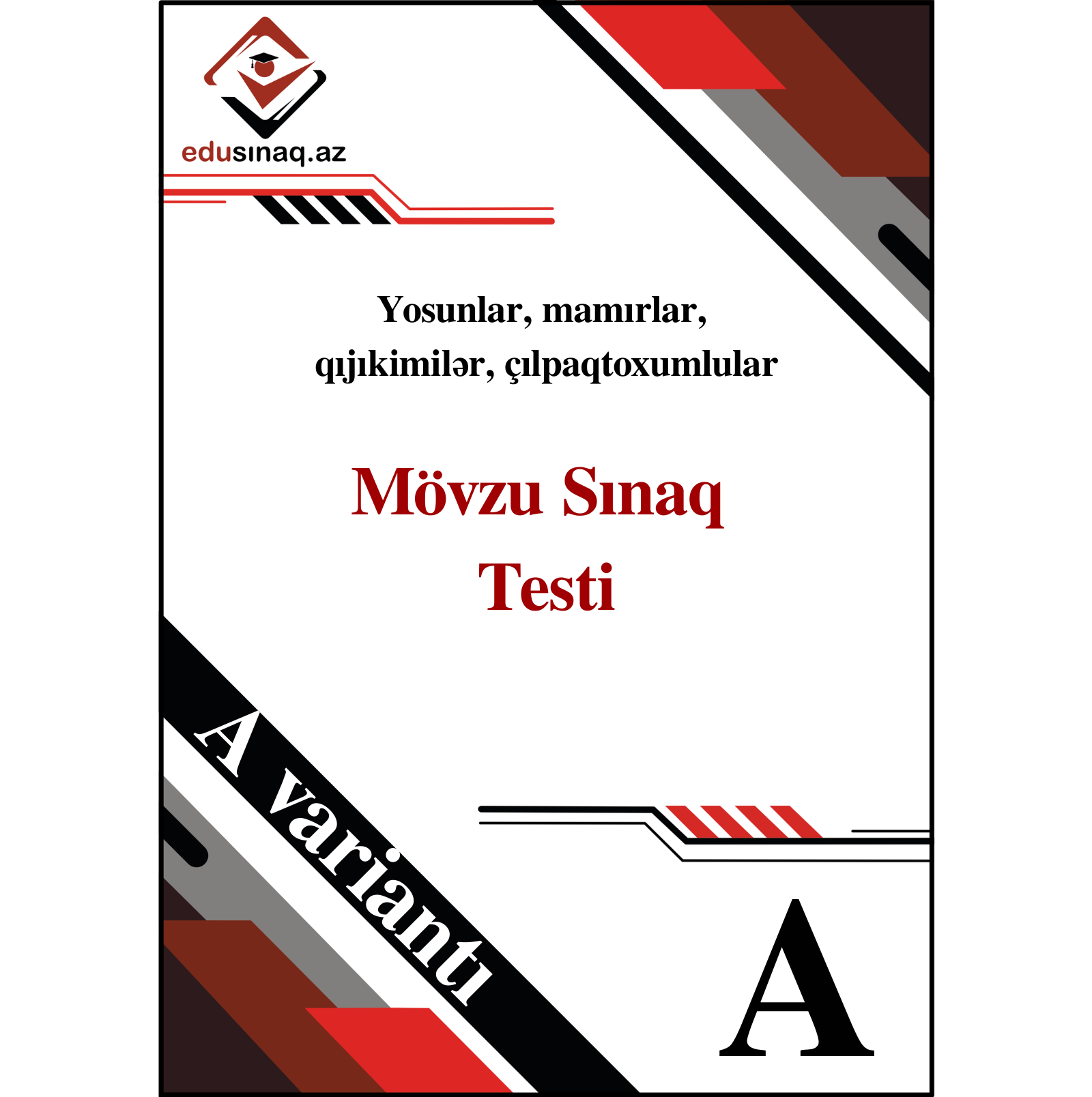 Yosunlar, mamırlar, qıjıkimilər, çılpaqtoxumlular. Mövzu Sınaq Testi ...